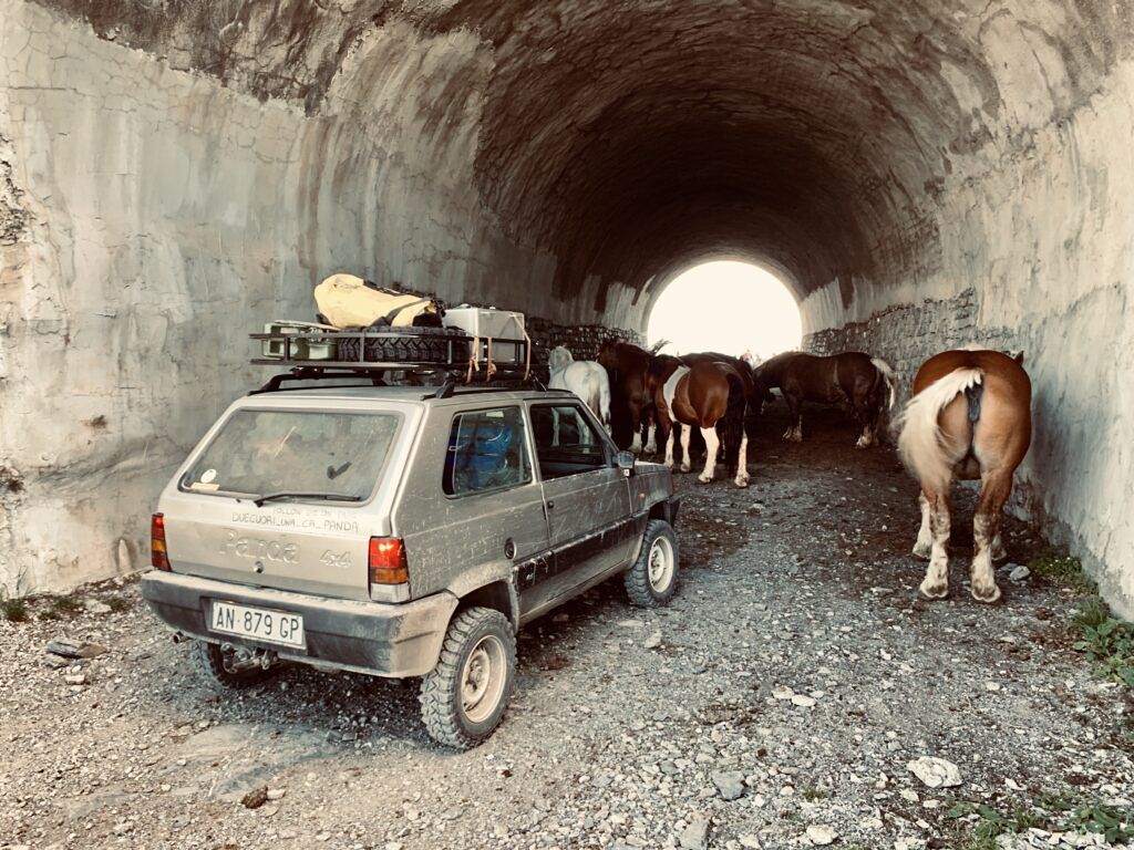 Due torinesi scelgono come luna di miele un rally in Marocco con la ...