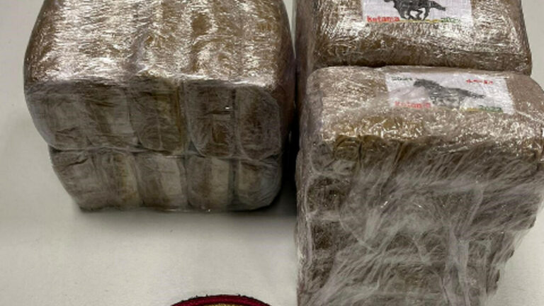 Arrestati nel Torinese padre e figlio che tenevano quasi quattro chili ...