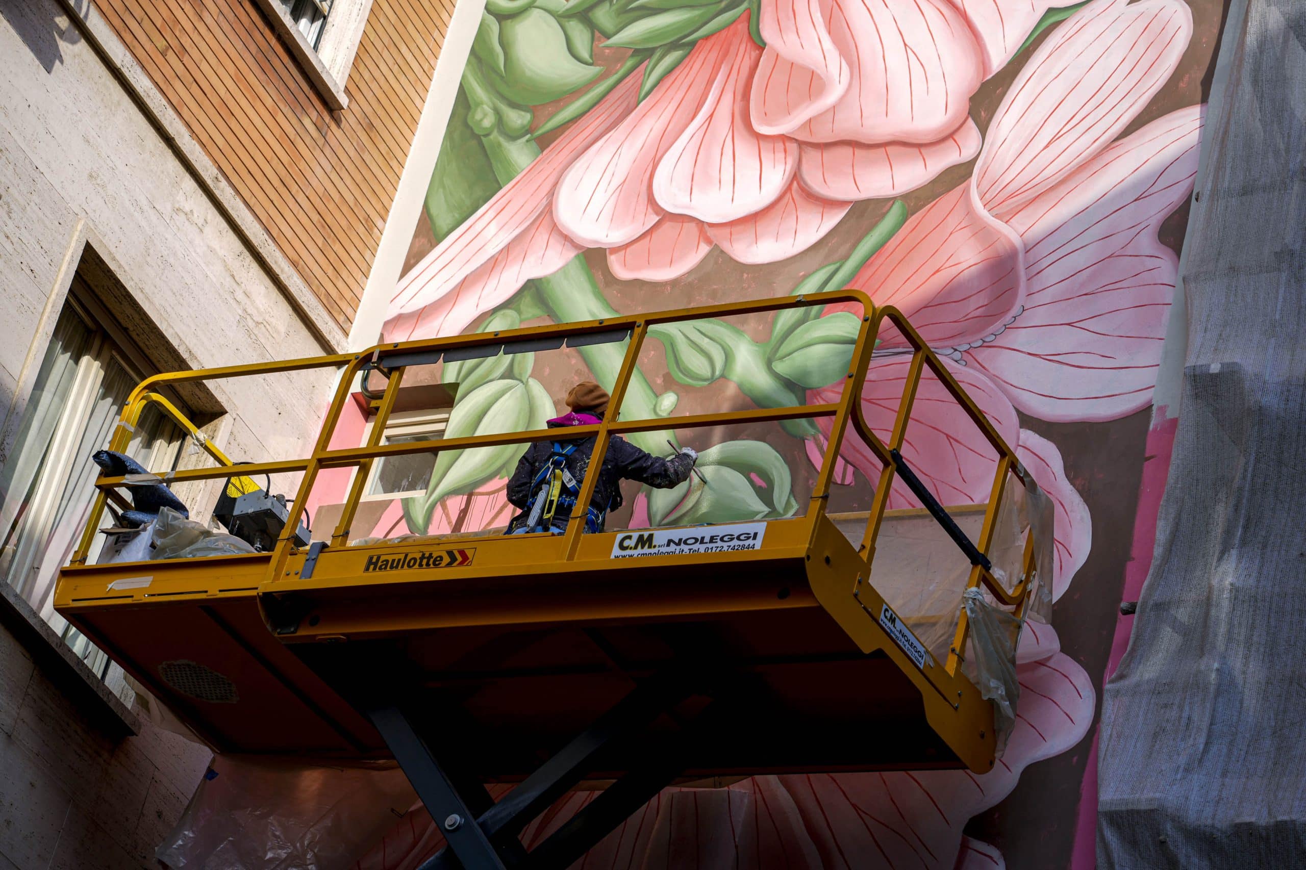 MURALE ‘ALTHAEA OFFICINALIS L.’ REALIZZATO DALL'ARTISTA DOA OA (2 ...