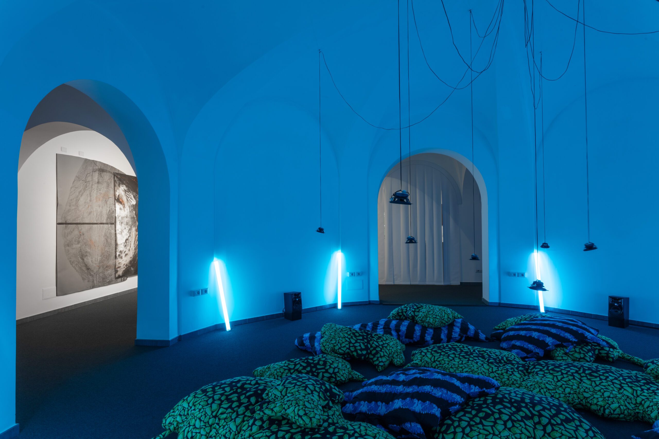 mostra torino montagna - Quotidiano Piemontese