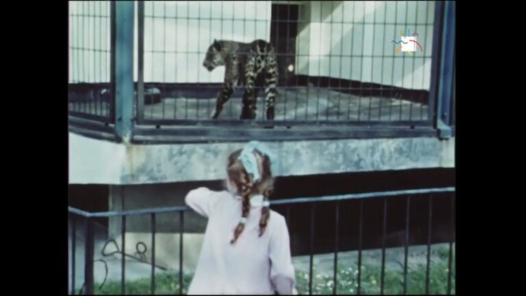 Quando a Torino c'era lo zoo, la storia del giardino zoologico lungo il Po