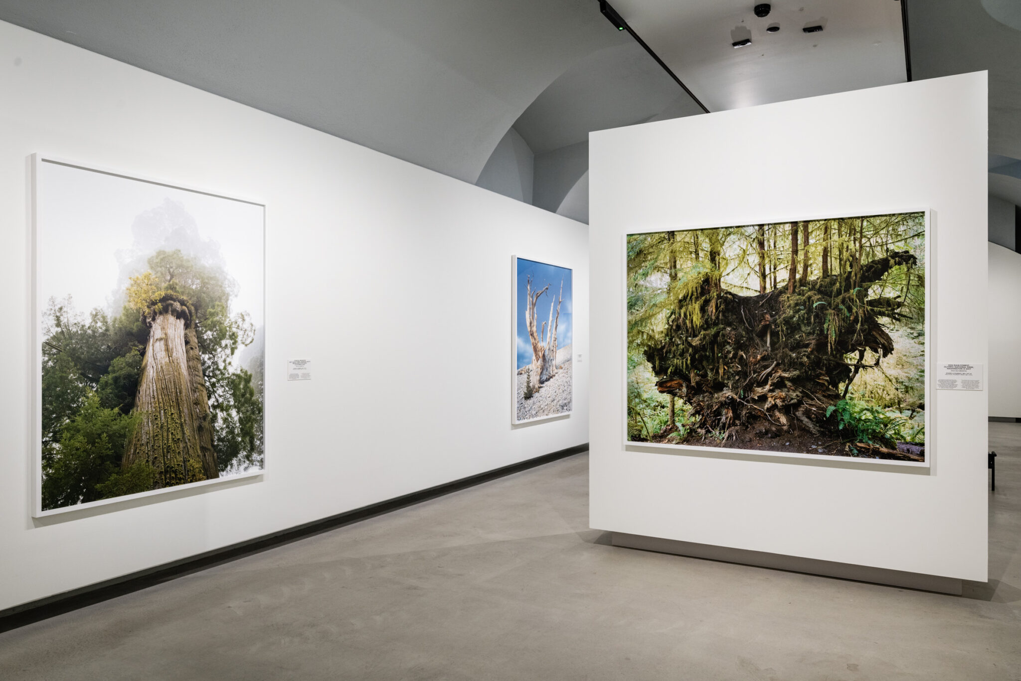 "Mitch Epstein. American Nature", la mostra dal 17 ottobre 2024 alle ...